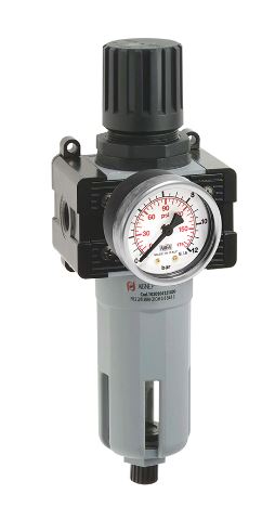 RA-37810-55 - Pressure Regulator with Filter and Gauge - 1/4" NPT(F) C ...